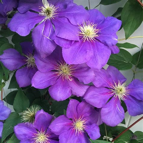 Client Stories Real You Nutrition