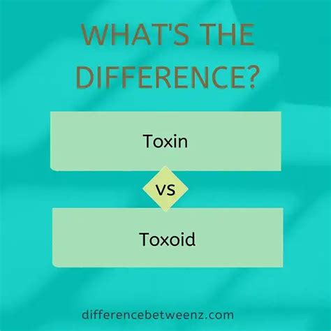 Differences Between A Toxin And A Toxoid Difference Betweenz