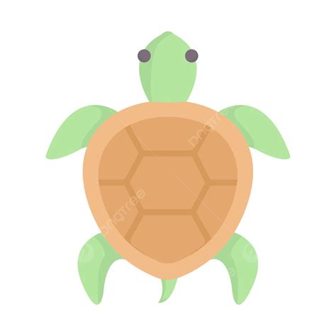 Vector De Tortuga Png Dibujos Tortuga Dibujos Animados Tortuga Png Y