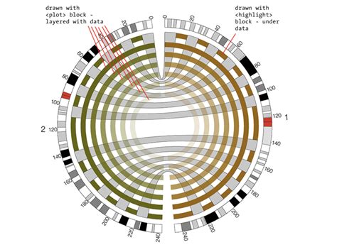 Applications Of Circos Circos Circular Genome Data Visualization