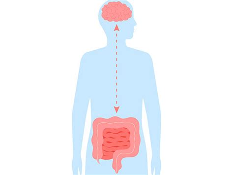 Recognizing And Treating Disorders Of Gut Brain Interaction Harvard