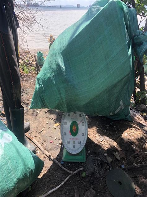 Detecting Object Object Detection Dataset And Pre Trained Model By Sumthing