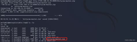 linux脏牛提权 ＞cve 2016 5195 脏牛提取编译好的文件 csdn博客