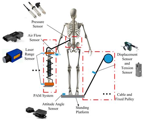 Design And Optimization Of A Hybrid Driven Waist Rehabilitation Robot