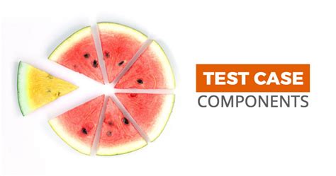 How To Make An Informative Test Case Qatestlab Blog