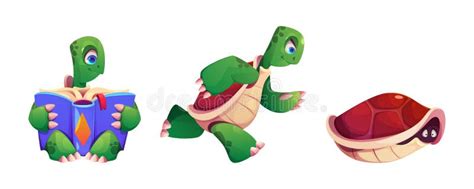 Cute Cartoon Tortoise Character In Different Poses Stock Illustration Illustration Of