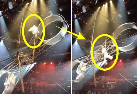 크리스마스의 기적곡예사 서커스 중 추락 후 극적으로 목숨 건져