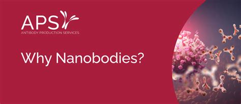 Why Nanobodies Life Science Production