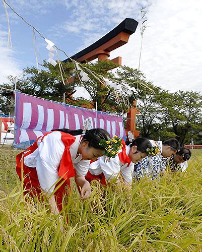 鶴岡献饌田で抜穂祭 緋袴白書備忘録