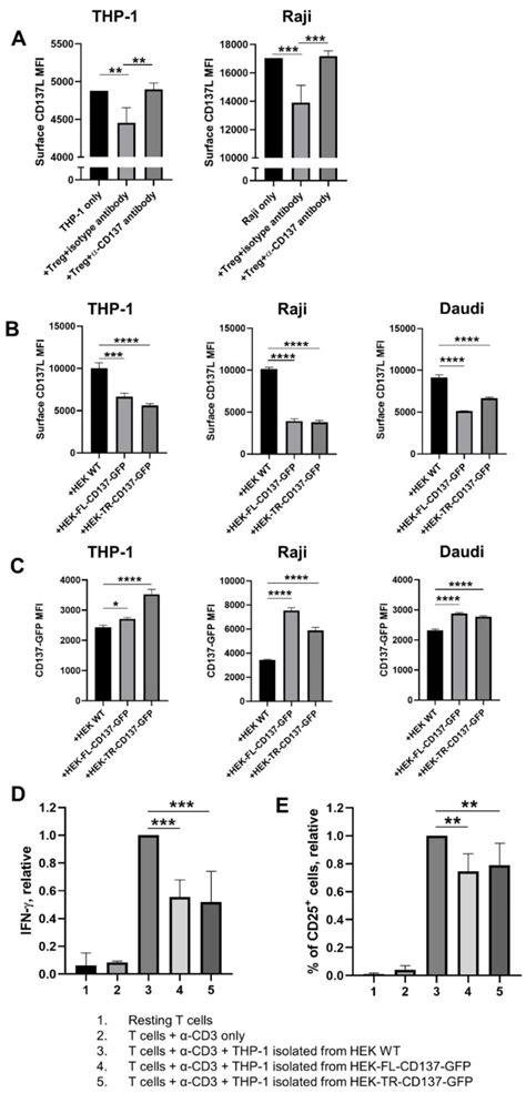 Regulatory T Cells Inhibit T Cell Activity By Downregulating Cd137