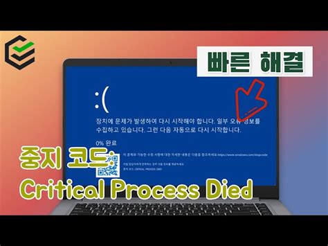 해결됨 Critical Process Died 블루 스크린 오류 Windows 1011에서 Critical