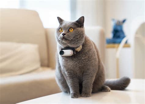 Insta360 Go 3 Tiny Action Camera Unveiled