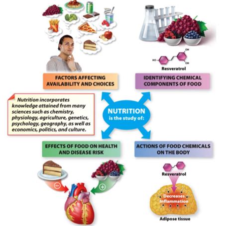 Nutrition Concepts Exam 1 Flashcards Quizlet