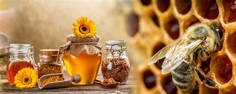 ПРОДУКТЫ ПЧЕЛОВОДСТВА ДЛЯ ЗДОРОВЬЯ ВСЕЙ СЕМЬИ 2025 ВКонтакте
