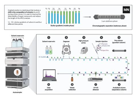 Hplc Principle Instrumentation Types Uses Diagram Biology Notes