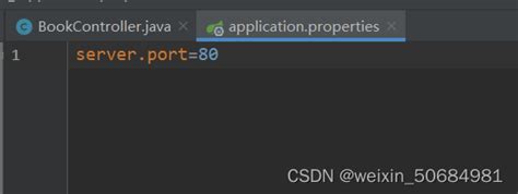springboot运行报错Error starting ApplicationContext To display the