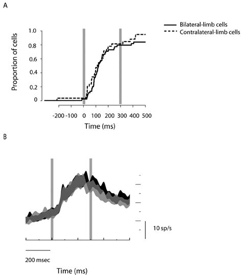 Neuronal Latency Between Bilateral Limb And Contralateral Limb Cells Download Scientific Diagram