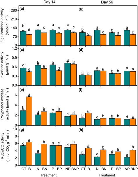 Effect Of Nutrients And Biochar Application On The Activities Of