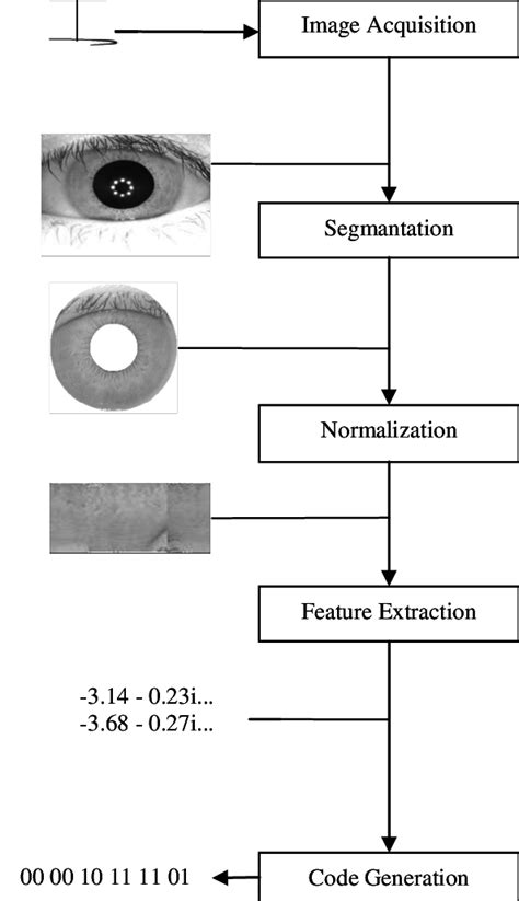 Block Diagram Of An Iris Recognition System Download Scientific Diagram