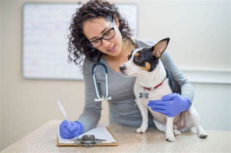 The Shelter Medicine Program Also Offers Online Continuing Education
