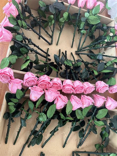 Mothers Day T Immortal Flower Long Stem Konservierte Rosen Infinity