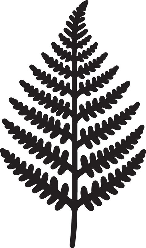 High Quality Fern Icon Art Images 51897896 Vector Art At Vecteezy