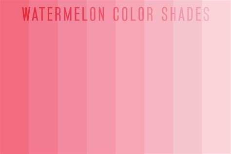 Palette Of Watermelon Color Shades Vector Illustration Template