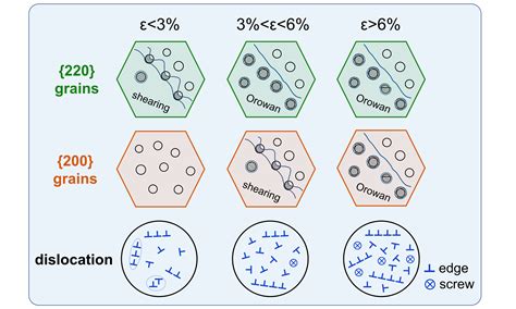Articles Microstructures Oae