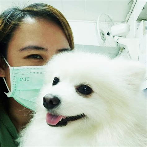 เชียงใหม่ เปิด 13 ข้อตกลงหยุดยิง “ไทย กัมพูชา” เห็นพ้องรักษาสันติภาพ อ่านต่อได้ที่ในคอมเ