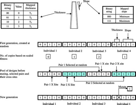 Schematic Illustrating The Main Genetic Operators And Pole Problem Download Scientific Diagram