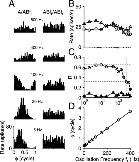 Auditory Midbrain And Nerve Responses To Sinusoidal Variations In Interaural Correlation
