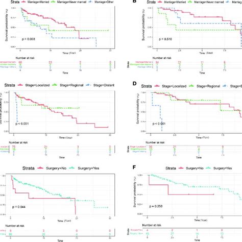 figure the calibration curves of the nomogram were used to predict the