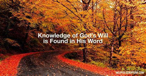 What Does The Bible Say About Predestination