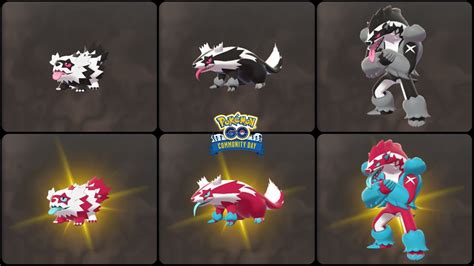 Pokemon Go Community Day Evolve Normalandshiny Zigzagoon Into Linoone