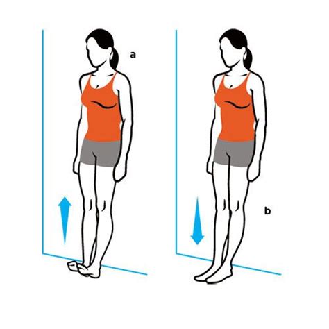 This Dumbbell Workout Strengthens Every Muscle Group In 30 Minutes Toe Raises Calf Stretches