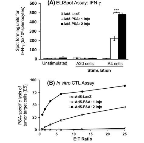 A Measurement Of Ifn C Secreting Anti Psa Cd8 T Cells Using Elispot