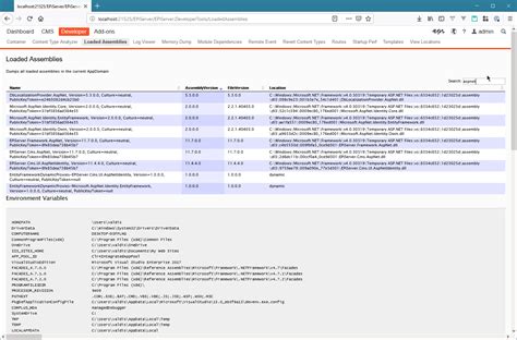 How Risky Are Episerverdevelopertools On Production Environment