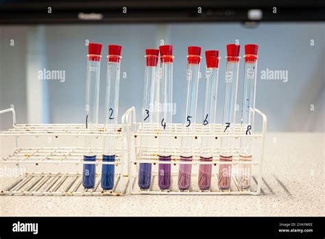 test tubes in a rack showing a colour sequence used in primary classes