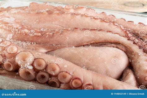 Macro Shot Of Whole Frozen Octopus With Big Tentacles Closeup Stock