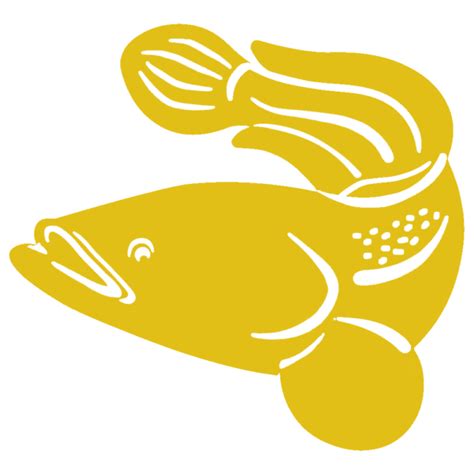 Fibumin Infion Pharma