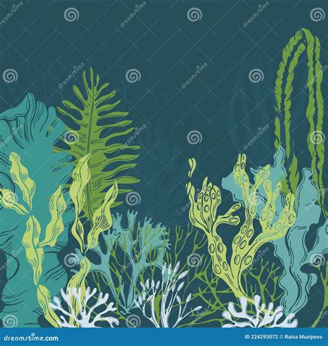 Edible Algae Vector Pattern 219263897