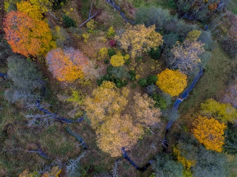 Page 6 4k Aerial Allegheny National Forest Images Free Download On