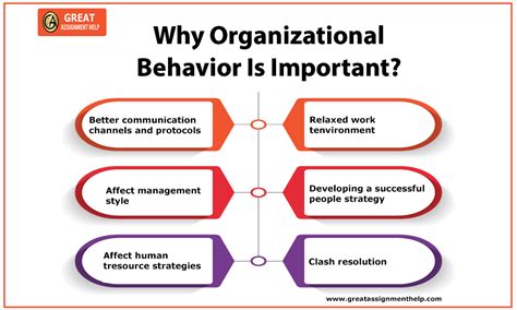 What Is Work Team In Organizational Behavior At Harriet Ridgeway Blog