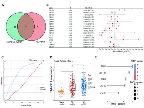 Binary Logistic Regression And Roc Analyses Suggested Tm4sf1 As An
