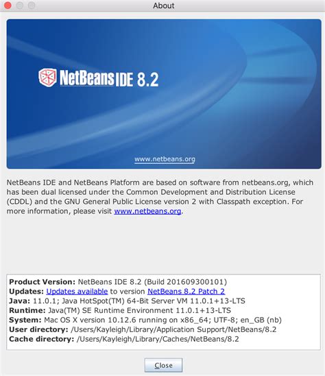 macos netbeans 8 2 won t run open on mac all of sudden stack overflow