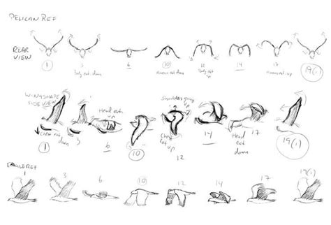 Fly Drawing Animation Sketches Animation Reference