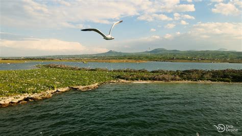 Ճայերի կղզի Սևան Youtube