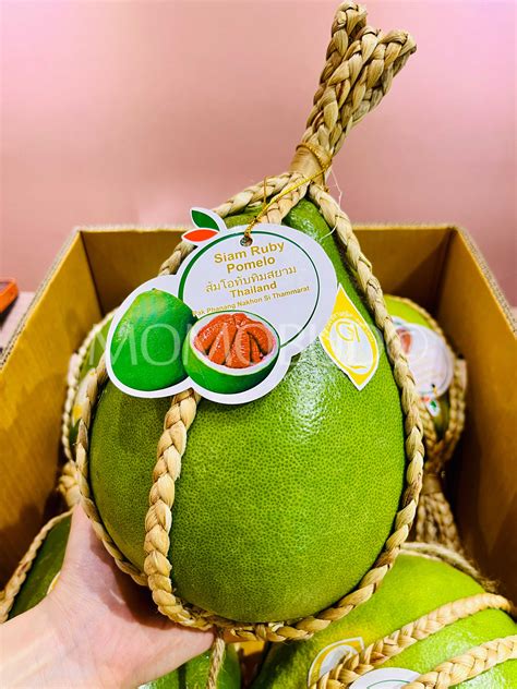 Thailand Ruby Pomelo — Momobud