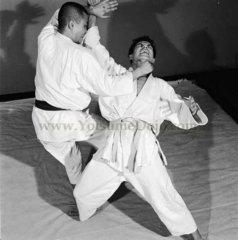 Bushinden Tasmania Toku Bu Ryū Sui Budō Dōjō 武神傳徳武流水武道道場 The Bujinkan