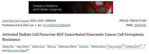 活化的星状细胞旁分泌HGF加剧胰腺癌细胞铁死亡抵抗力 知乎